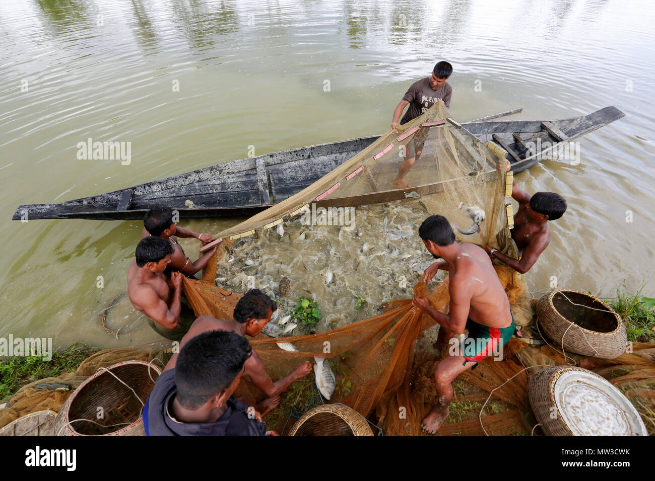 Fish farm aquaculture bangladesh hi-res stock photography and images ...