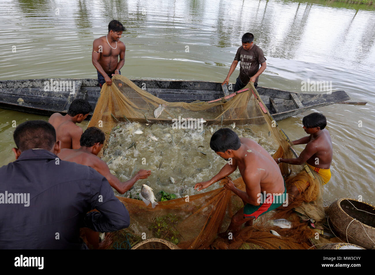 Fish farm aquaculture bangladesh hi-res stock photography and images ...