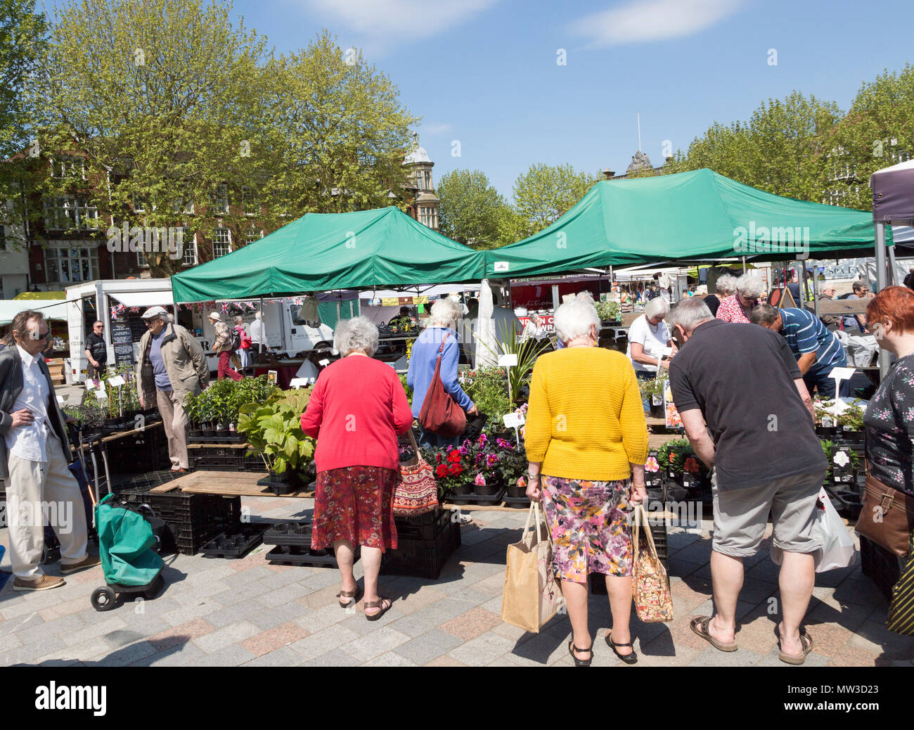 Market square salisbury hi-res stock photography and images - Alamy