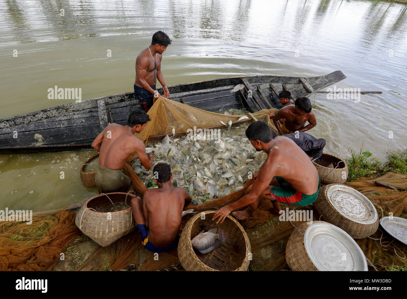 Fish farm aquaculture bangladesh hi-res stock photography and images ...