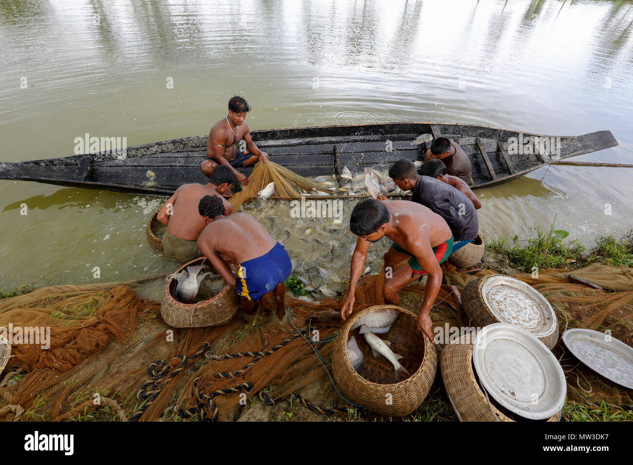 Fish farm aquaculture bangladesh hi-res stock photography and images ...