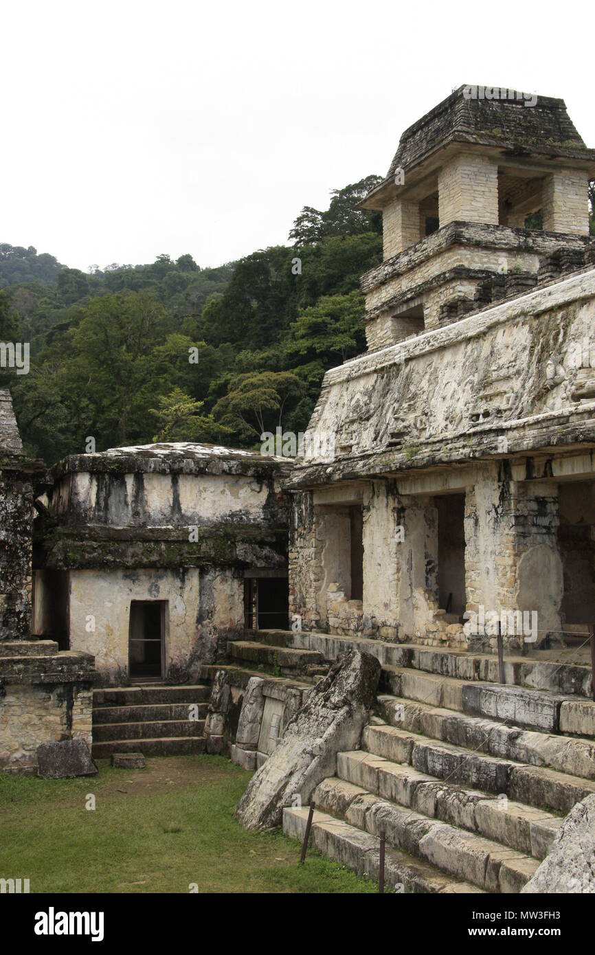 Palenque, Mexico, Archeological ruins Stock Photo - Alamy