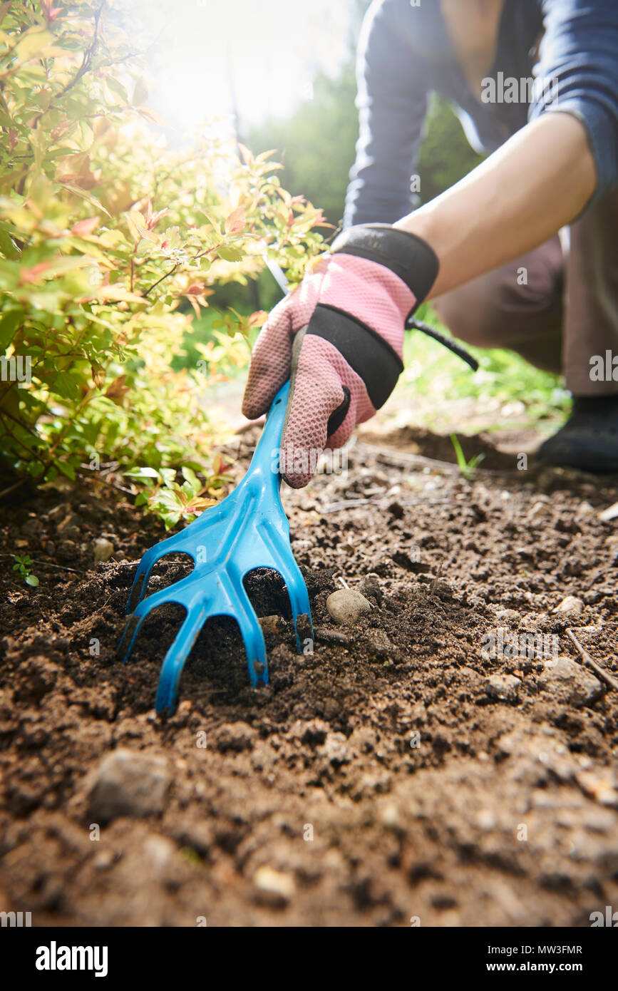 Gardening with gloves and rake Stock Photo - Alamy