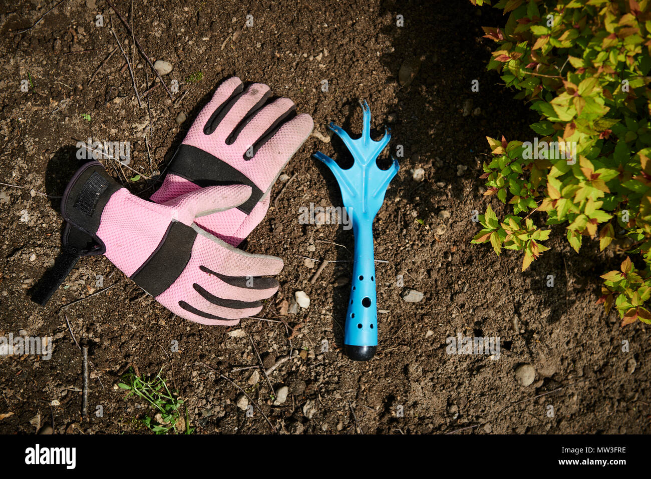 Gardening with gloves and rake Stock Photo - Alamy