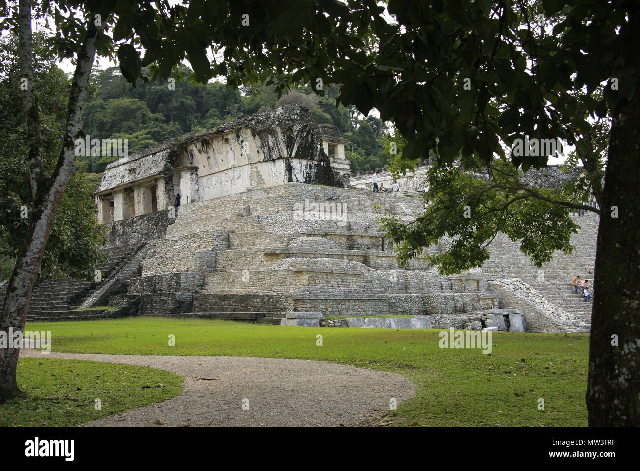 Palenque, Mexico, Archeological ruins, Temple of Inscriptions Stock ...