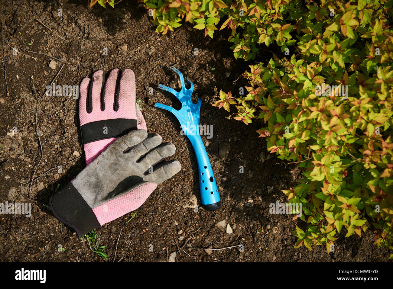 Gardening with gloves and rake Stock Photo - Alamy