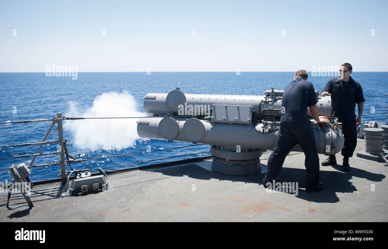 Zebra mate hi-res stock photography and images - Alamy