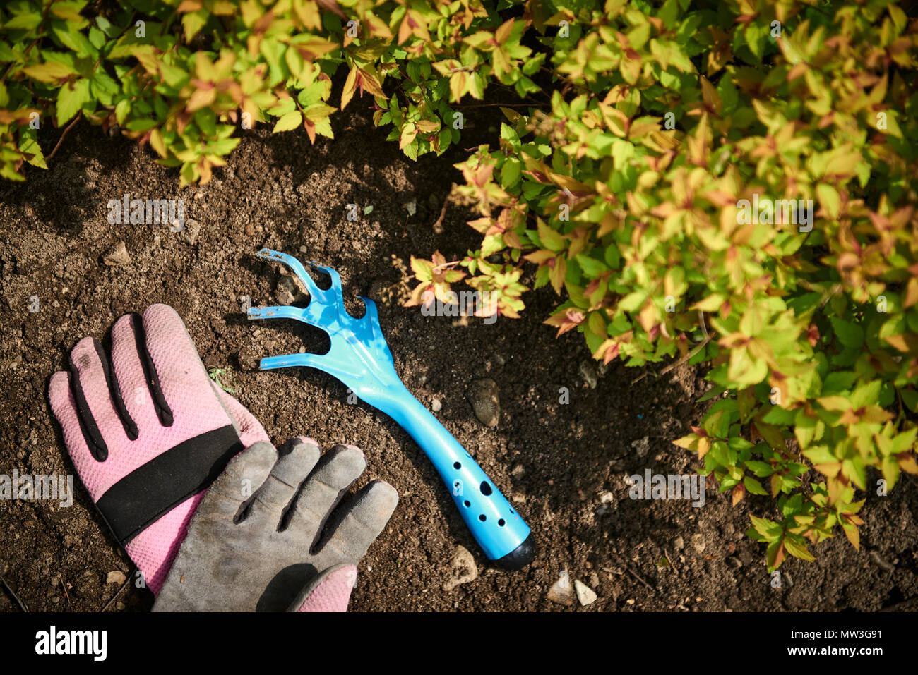 Gardening with gloves and rake Stock Photo - Alamy