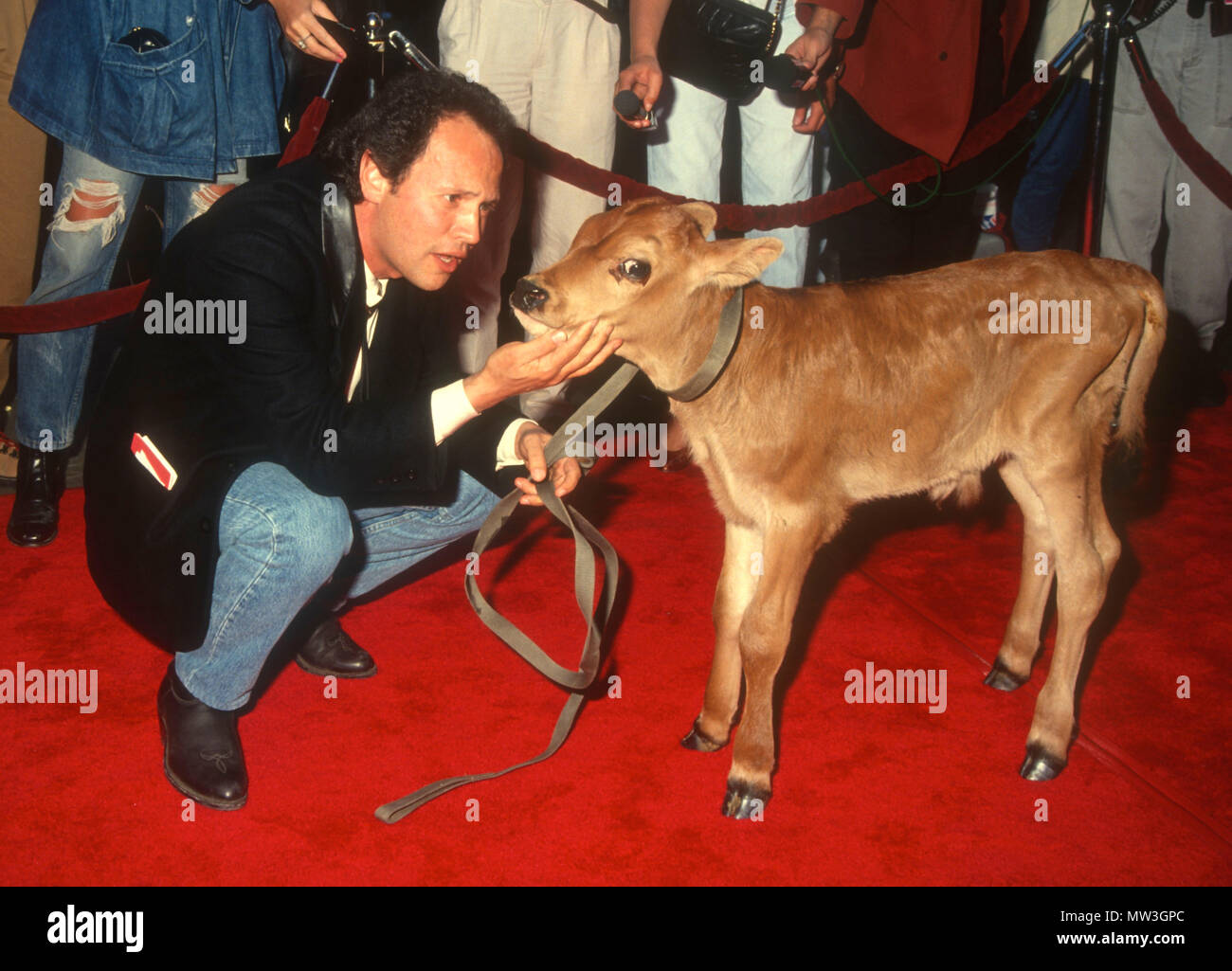 City Slickers 2 Cast