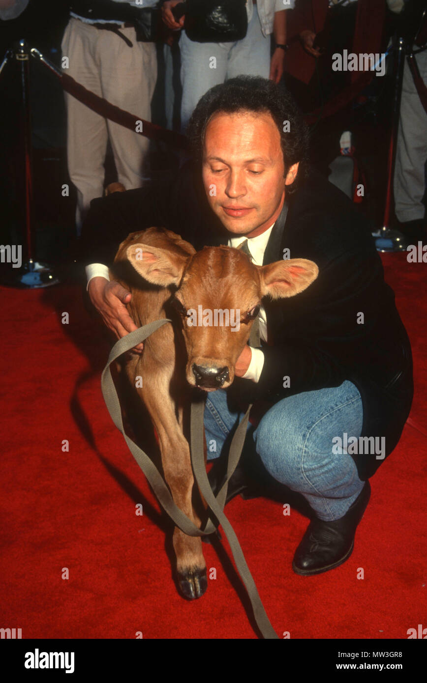 HOLLYWOOD, CA - JUNE 6: Actor Billy Crystal attends the 'City Slickers ...