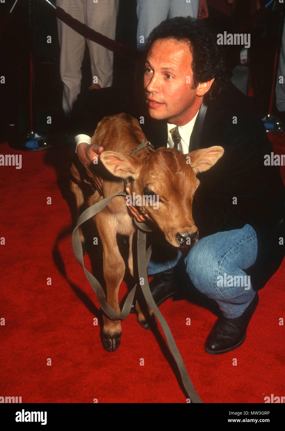 HOLLYWOOD, CA - JUNE 6: Actor Billy Crystal attends the 'City Slickers ...