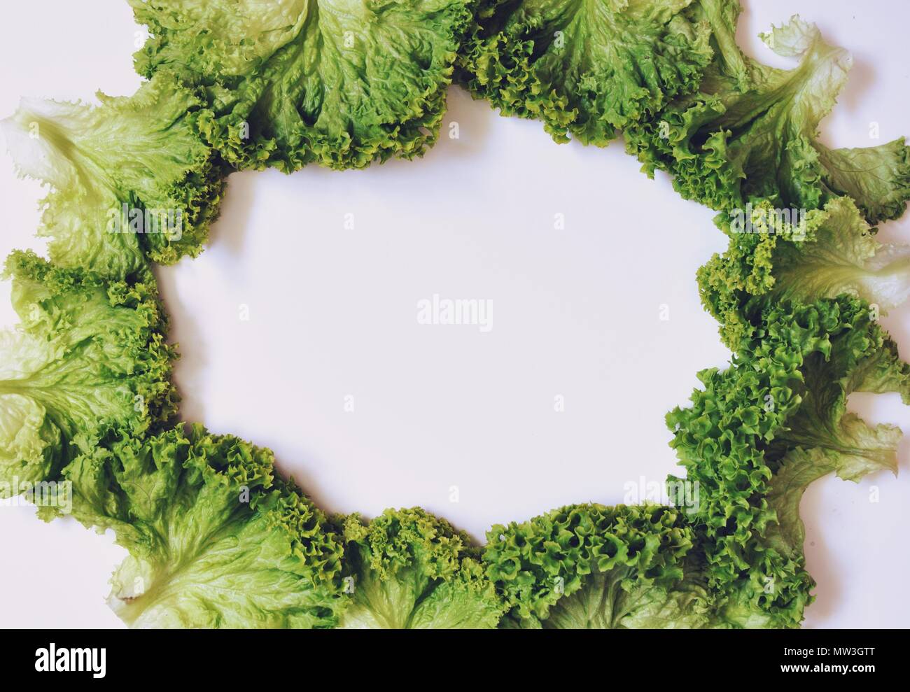 Slices of lettuce salad placed in a circle frame with copy space in the ...