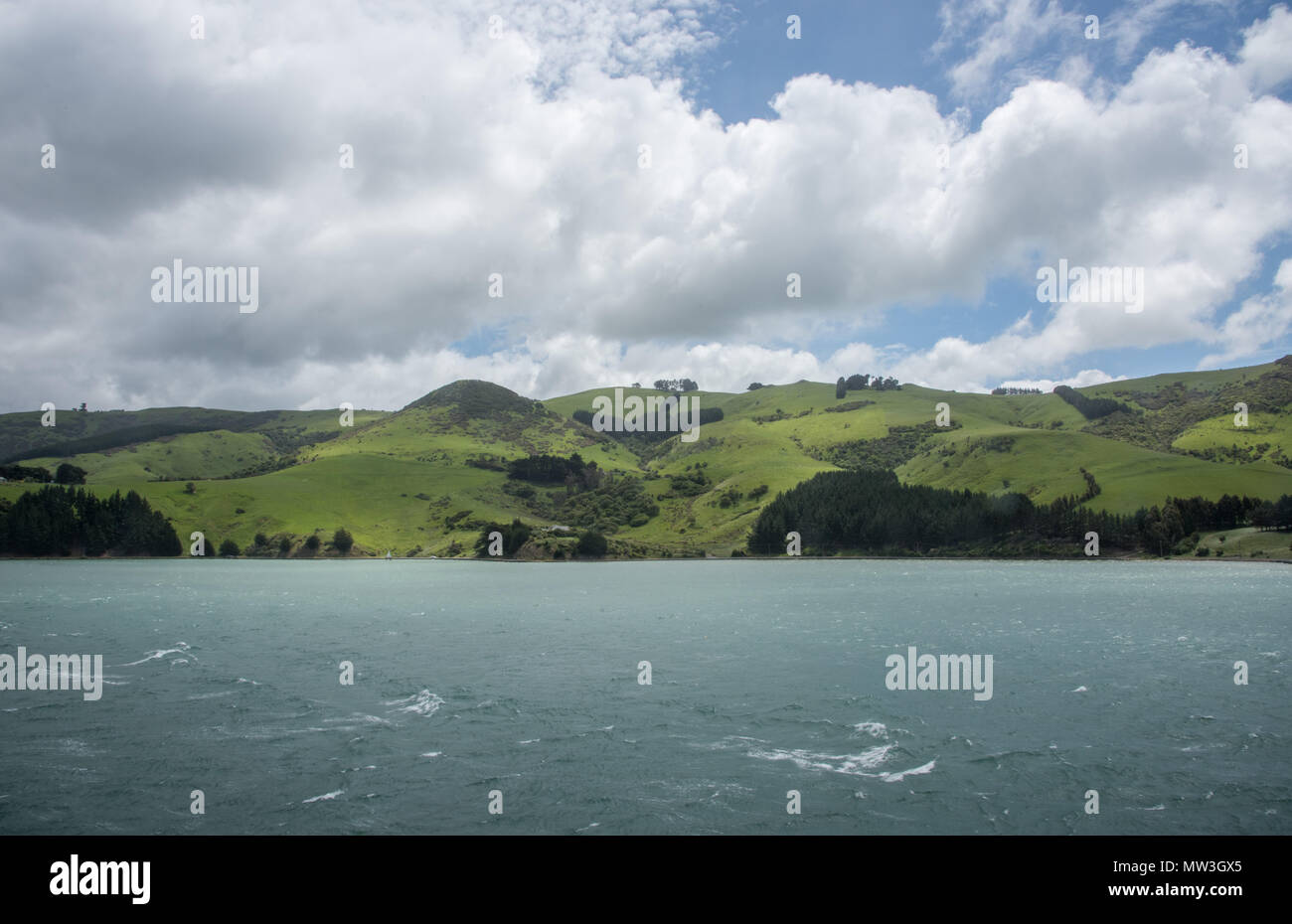 Majestic rolling, green landscape under a cloudy sky in Dunedin, New ...