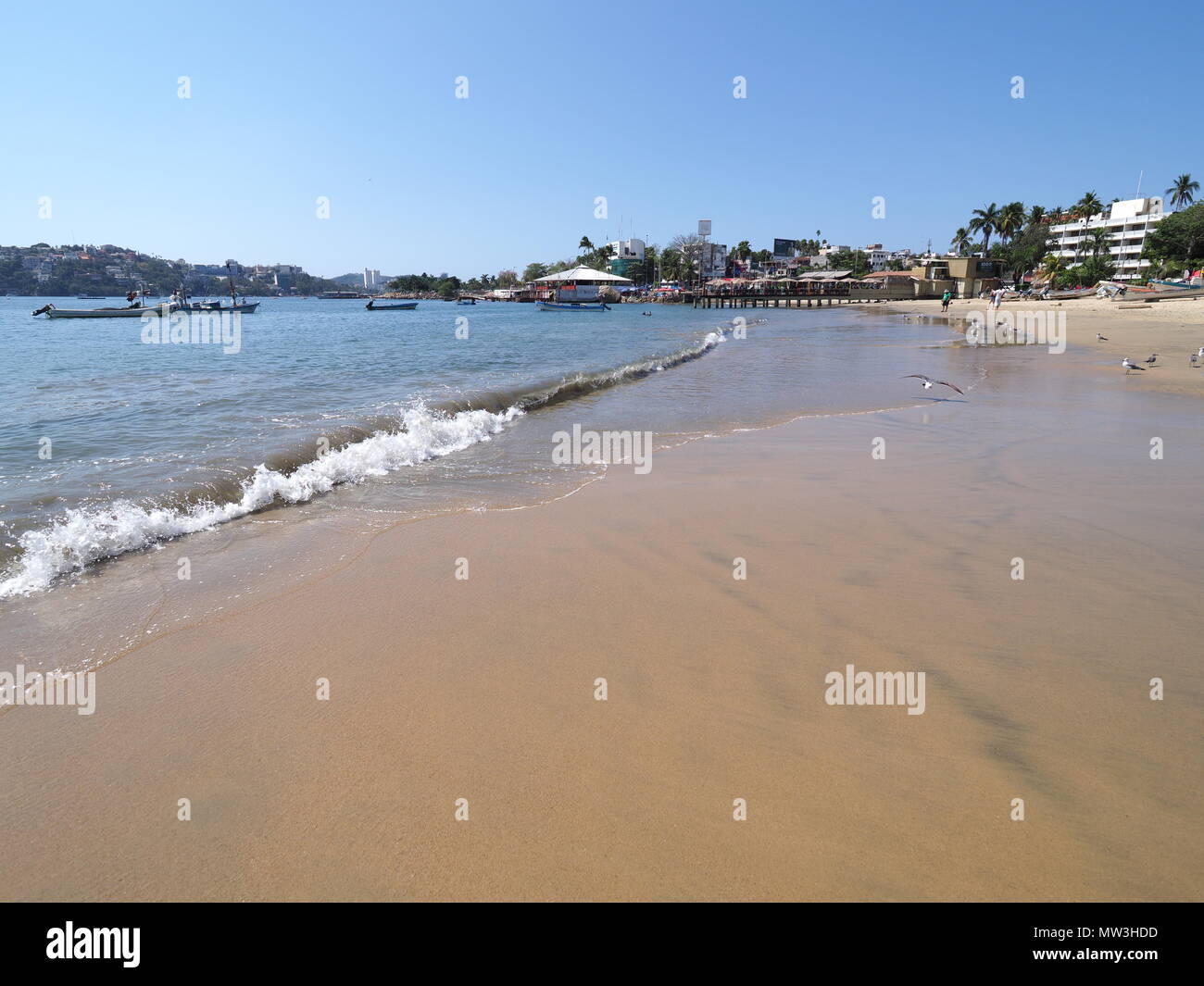 Panoramic view with harbour on sandy beach at bay of Acapulco city ...