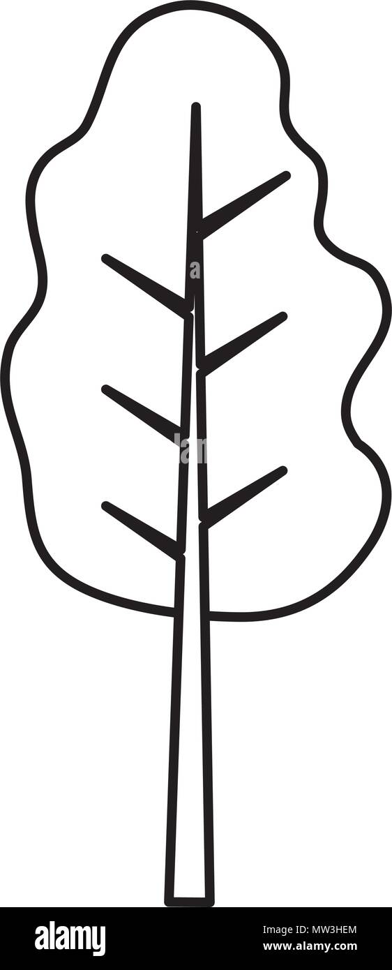 line nature tree stalk with leaves branches Stock Vector Image & Art ...