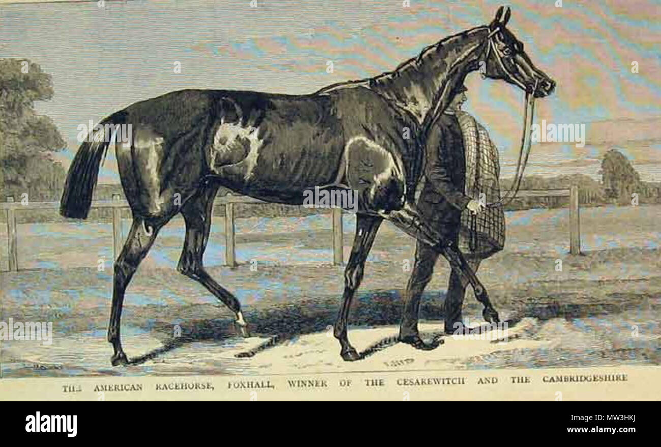. English: Etching of the American-bred racehorse Foxhall. Circa 1881. From GRAPHIC magazine. 3 ...