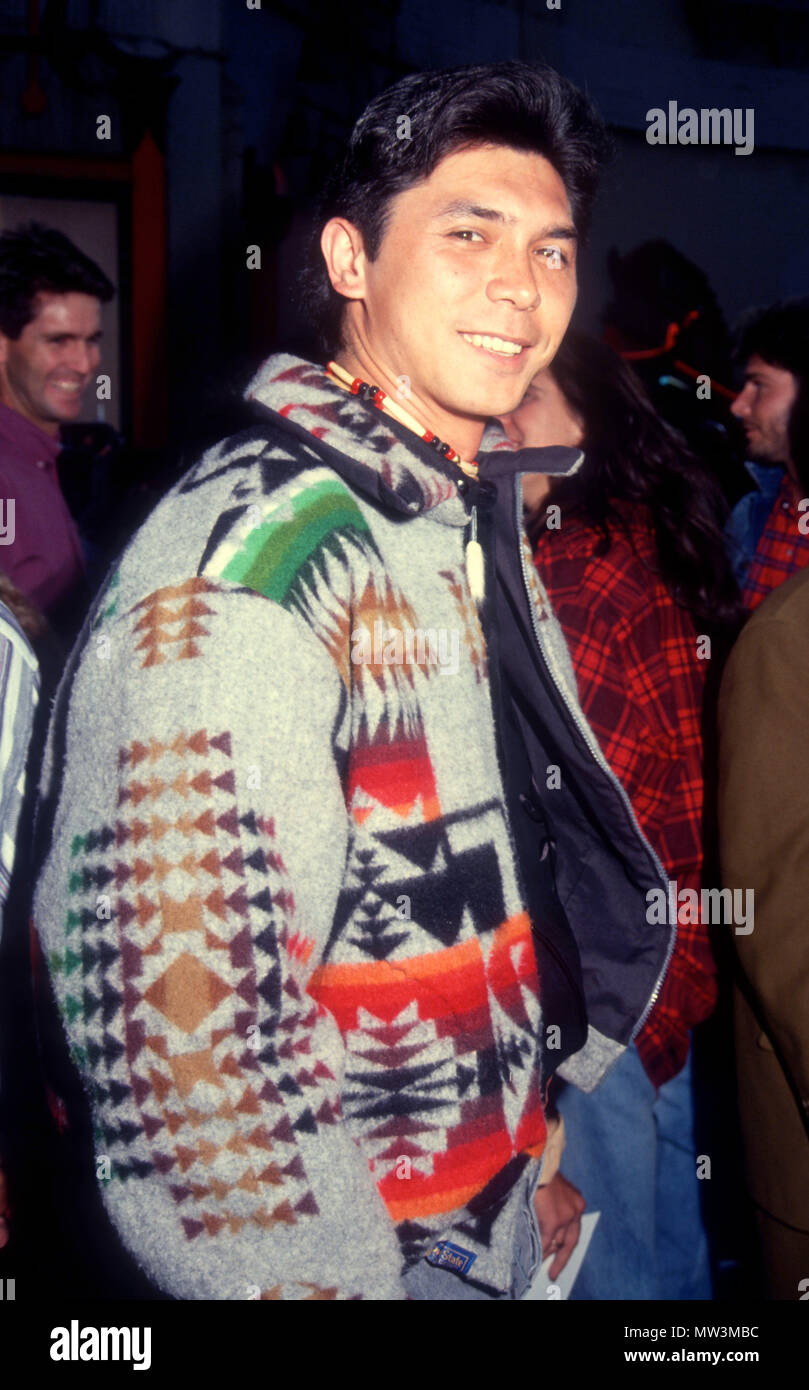HOLLYWOOD, CA - JUNE 6: Actor Lou Diamond Phillips attends the 'City ...