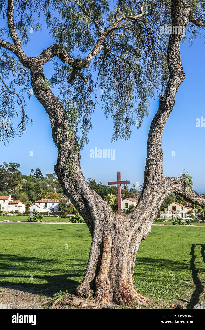 cross behind a tree near santa barbara mission Stock Photo - Alamy