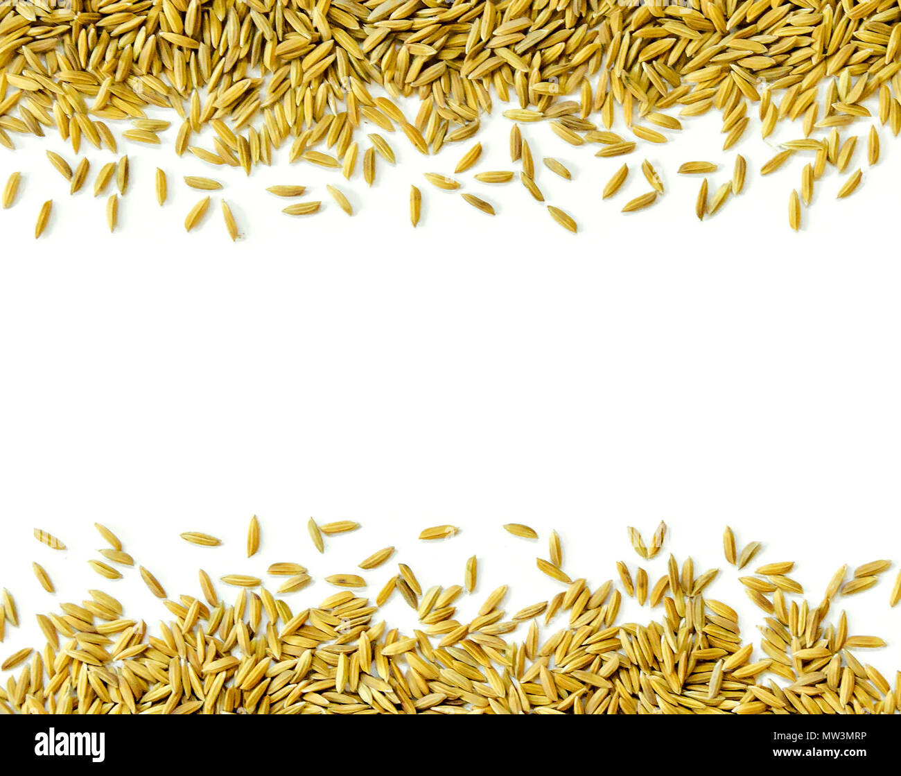Frame by paddy rice and rice seed on the white background for isolated ...