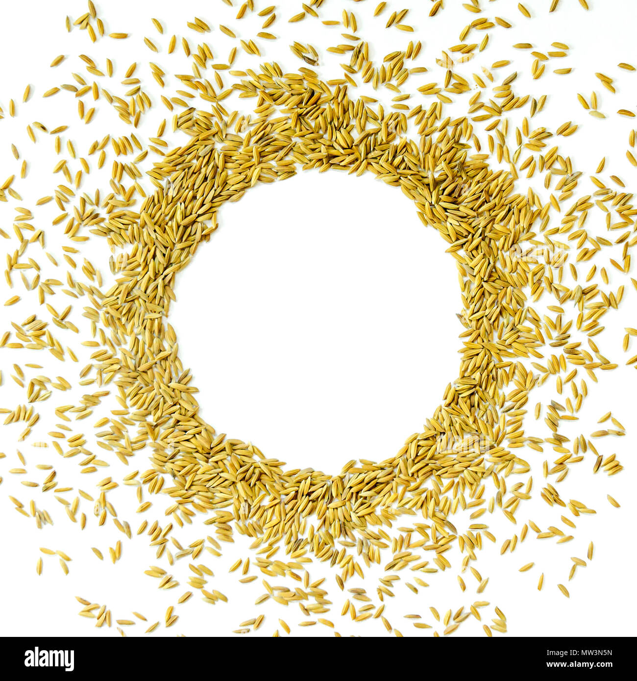 Frame by paddy rice and rice seed on the white background for isolated ...