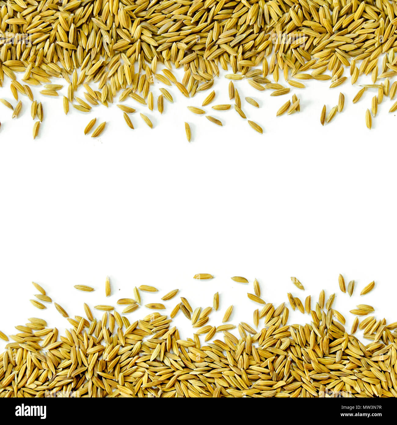 Frame by paddy rice and rice seed on the white background for isolated ...