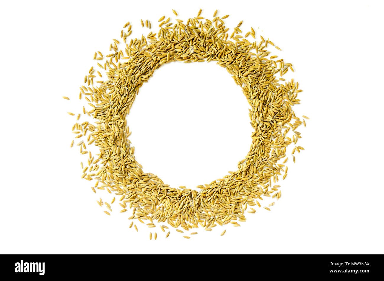 Frame by paddy rice and rice seed on the white background for isolated ...