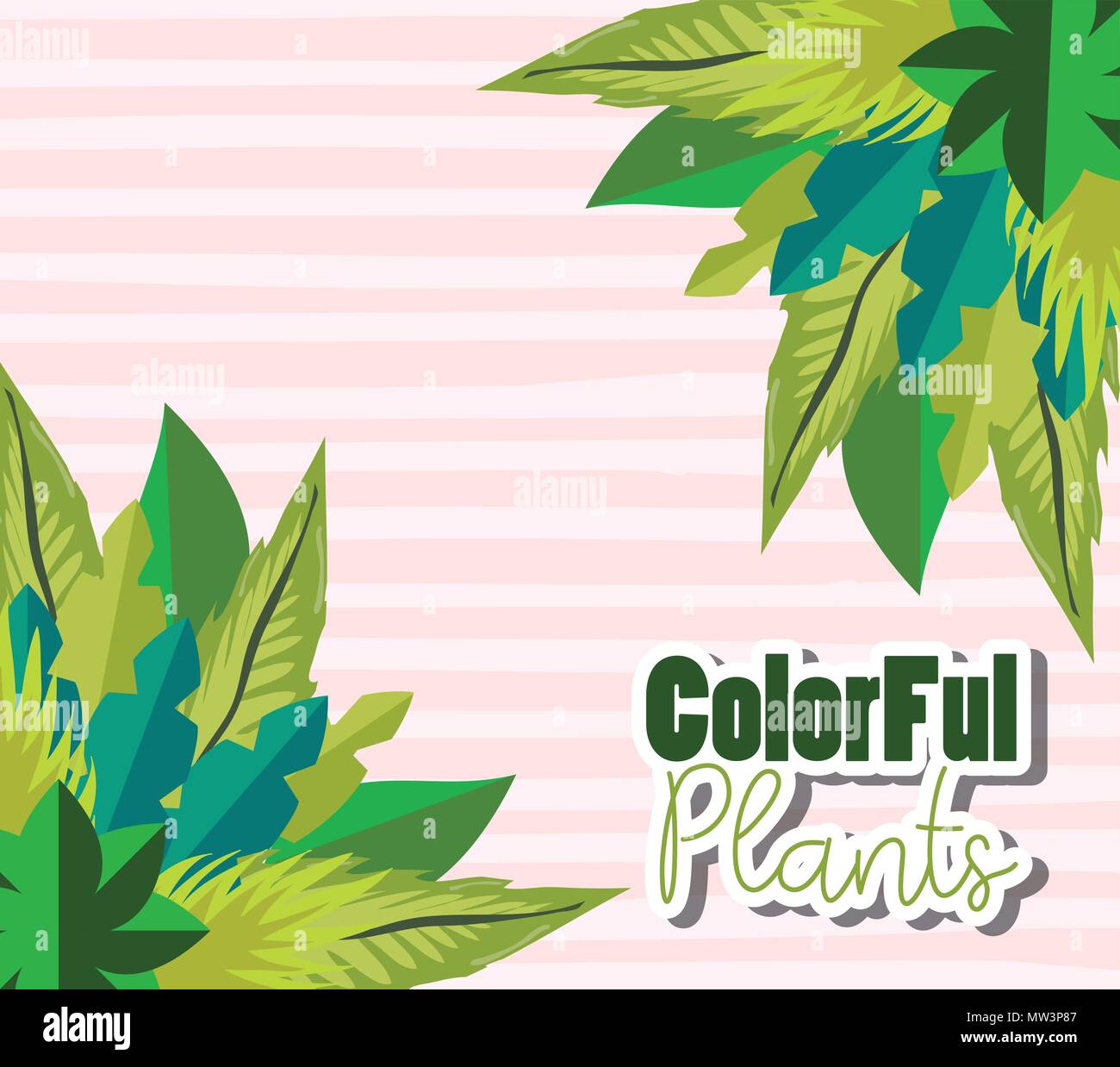 Colorful plants design Stock Vector Image & Art - Alamy