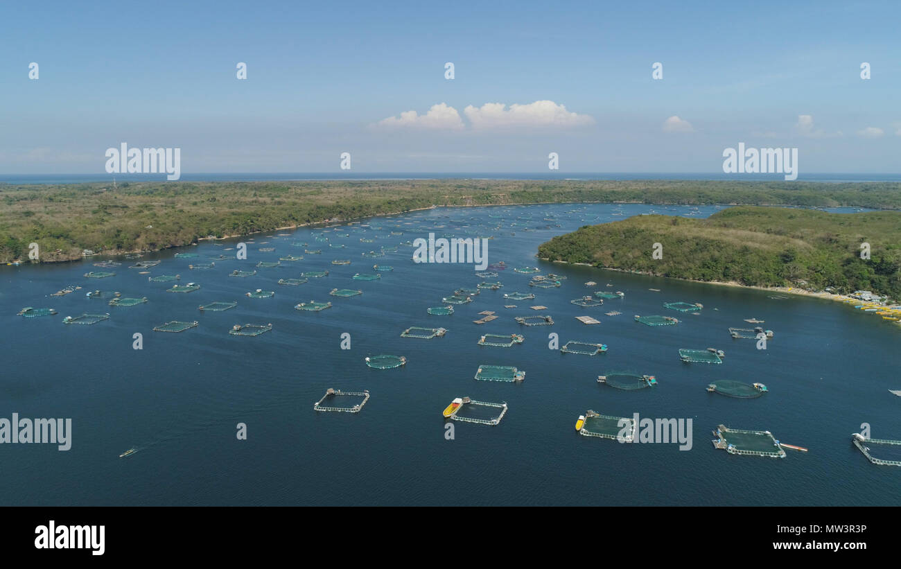 Fish farm with cages for fish and shrimp in the Philippines, Luzon ...