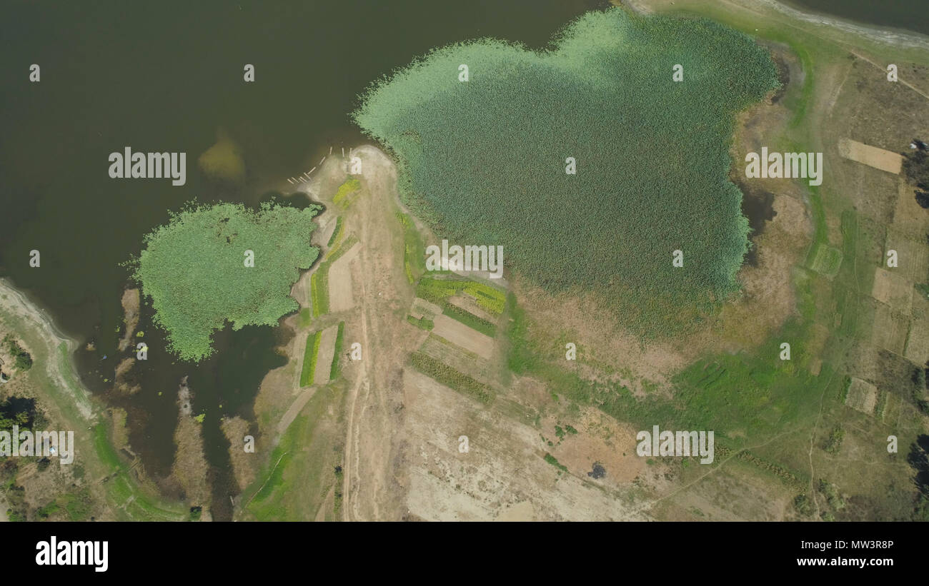 Aerial view of Paoay Lake with water lilies, Philippines. Paoay Lake ...
