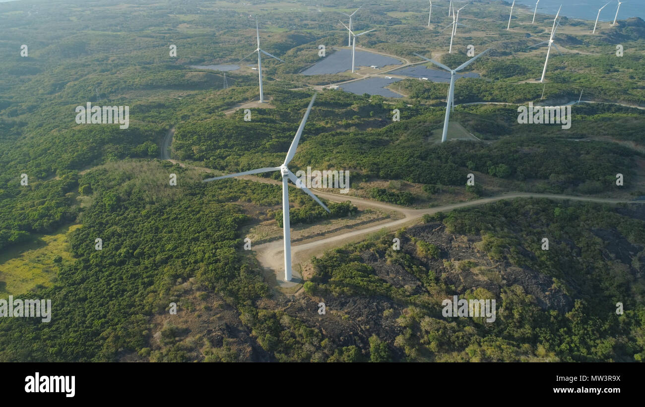 Aerial view of Windmills for electric power production. Bangui ...