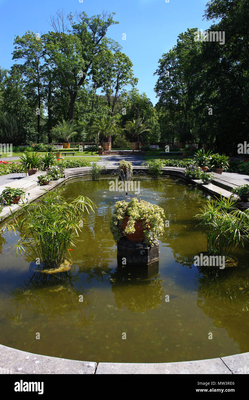 Pond with fountain, fish and aquatic plants in summer garden near ...