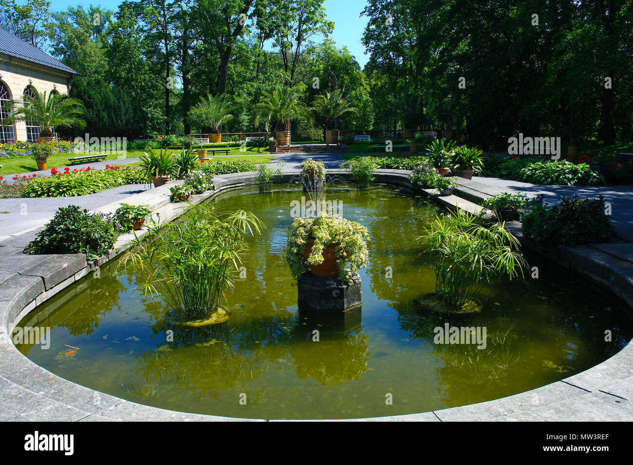 Pond with fountain fish and aquatic plants in summer garden near ...