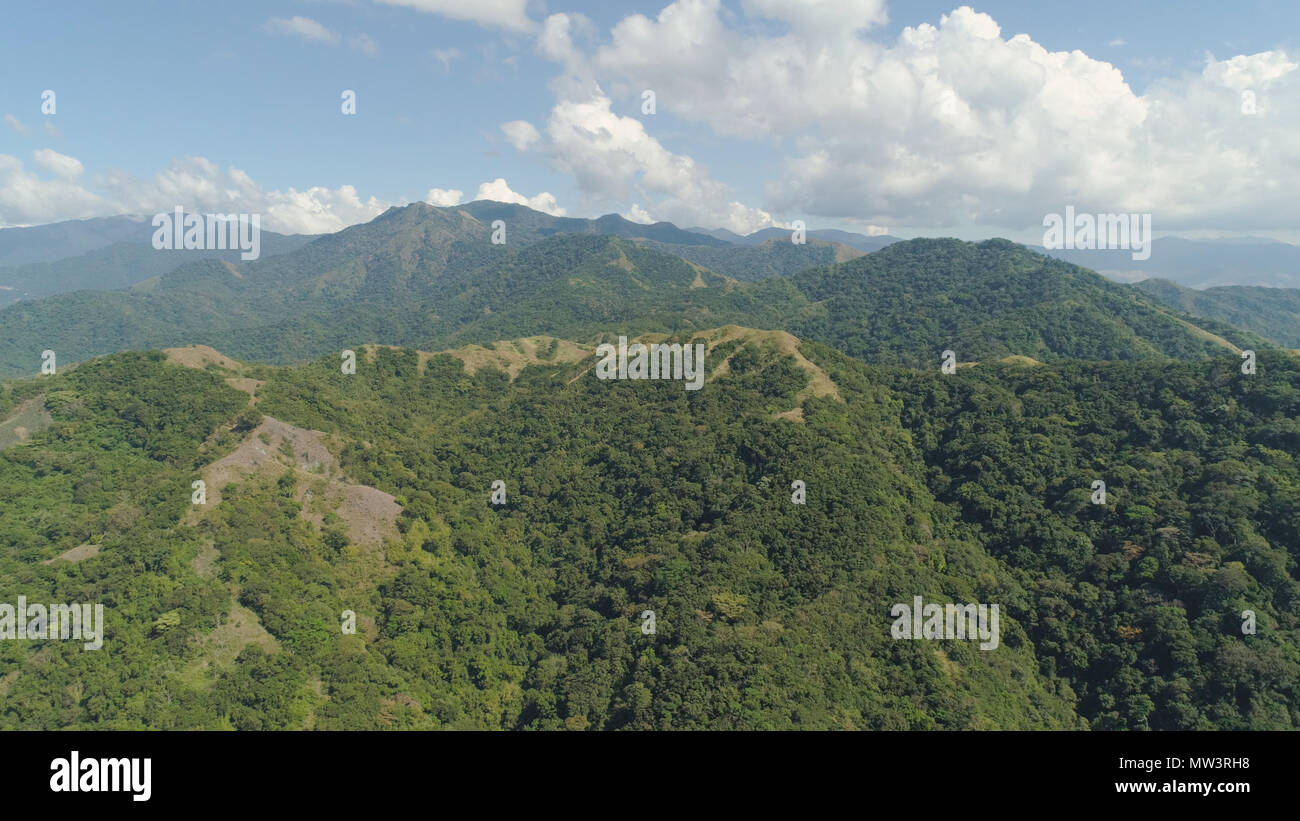 Aerial view of mountains covered with green forest, trees with blue sky ...