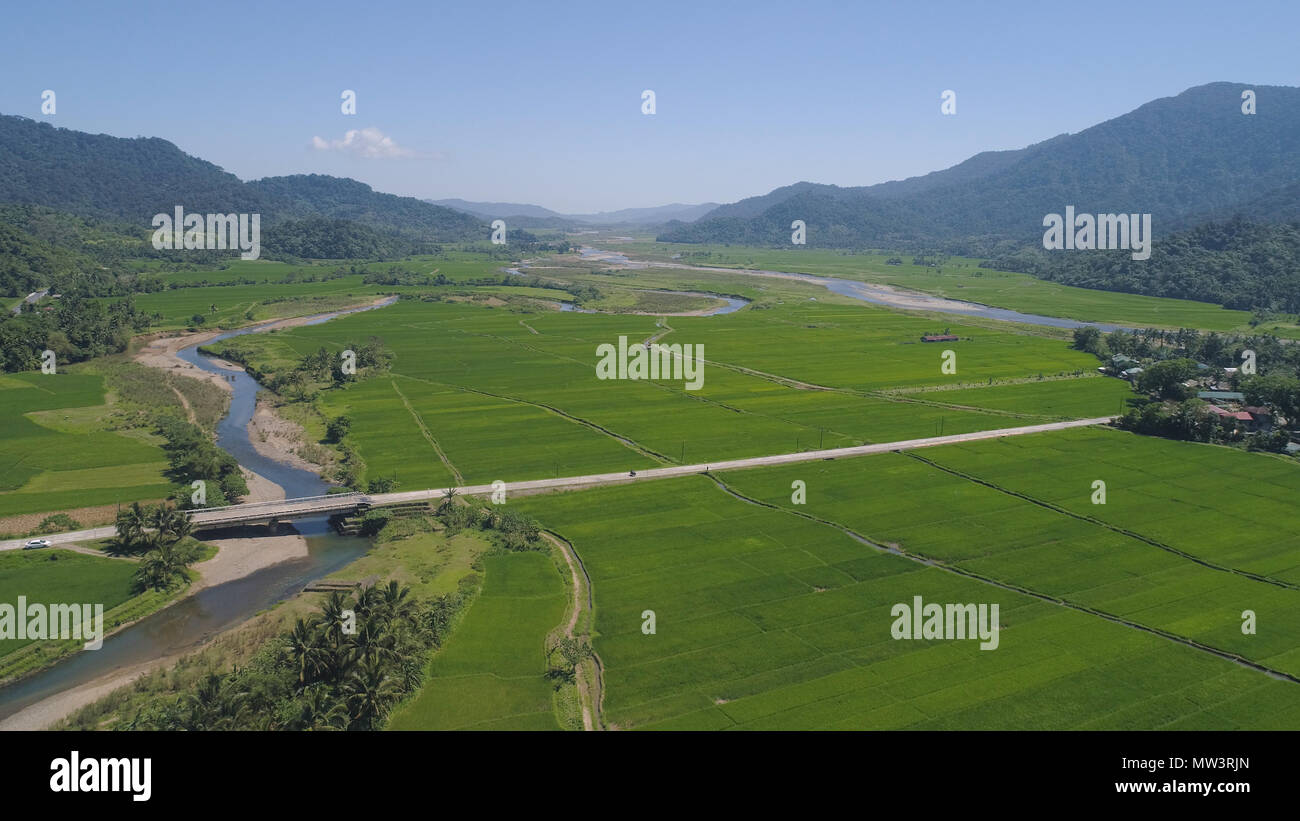 Mountain valley with river, farmland, rice fields. Aerial view of ...