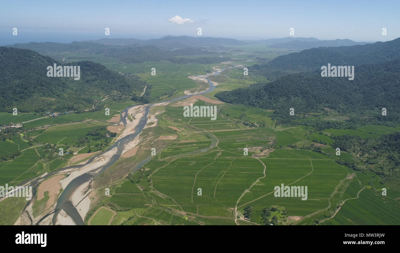 Mountain valley with river, farmland, rice fields. Aerial view of ...