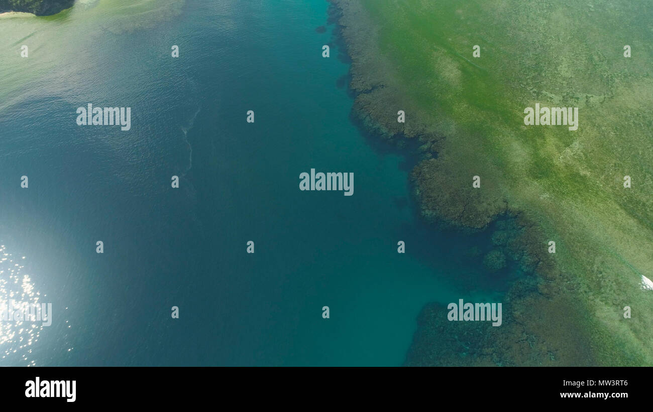 Beautiful coral reef Seascape with a coral reef in clear turquoise ...