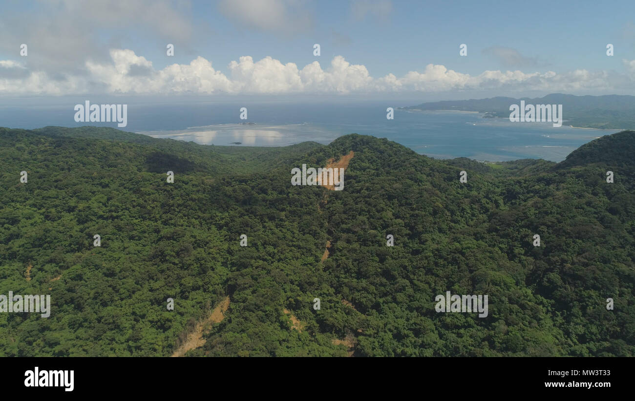 Aerial view of coast of a tropical island Palau with wild beach ...