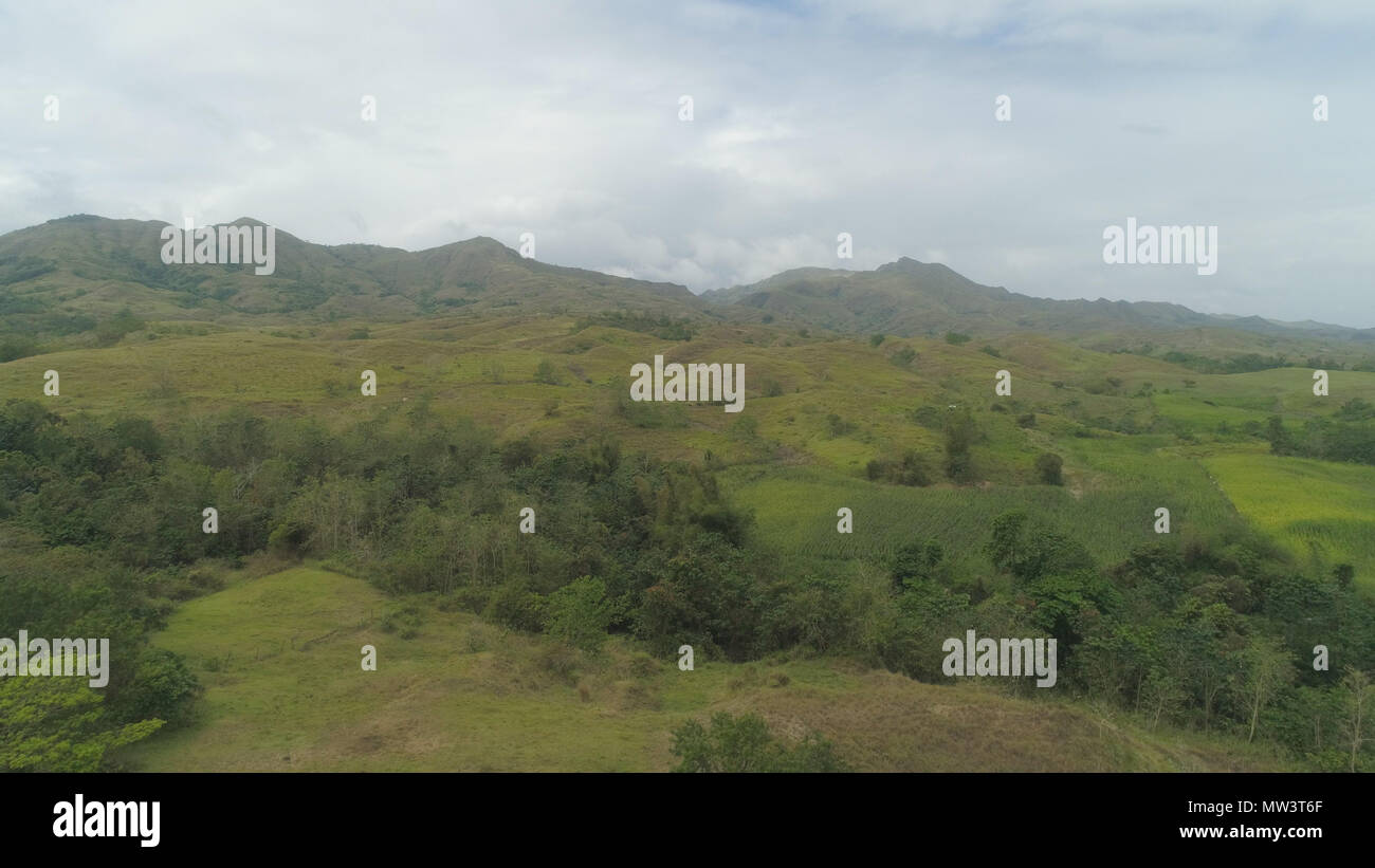 Aerial view of mountains covered forest, trees. Cordillera region ...