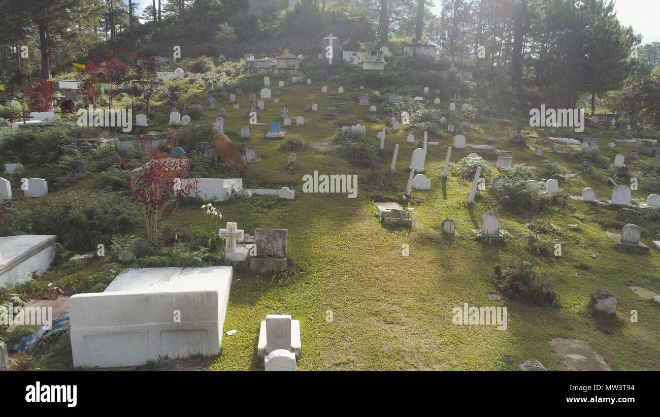 Aerial view of catholic cemetery with white tombstones, graves and ...