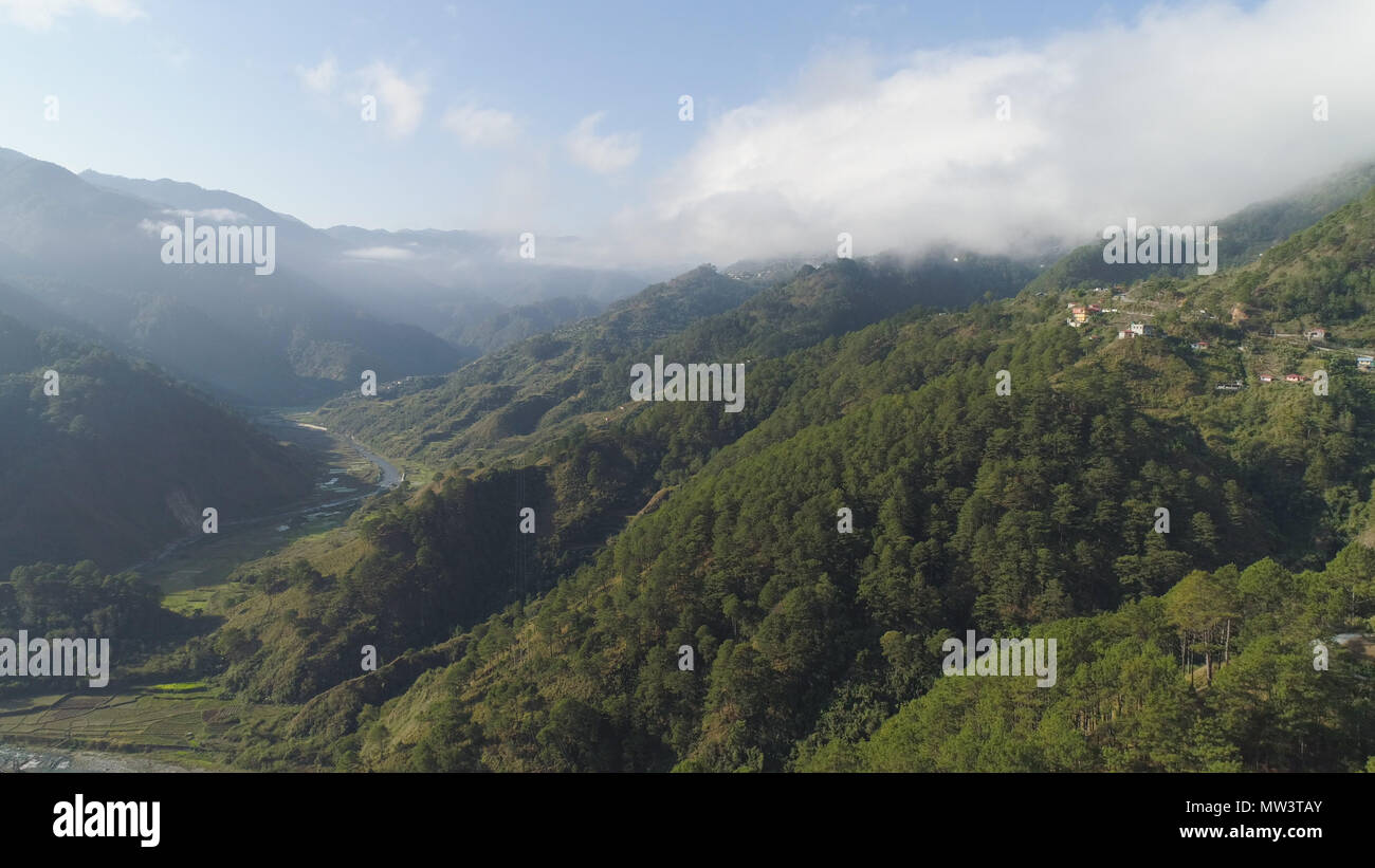 Aerial view of mountains covered forest, trees in clouds and fog ...
