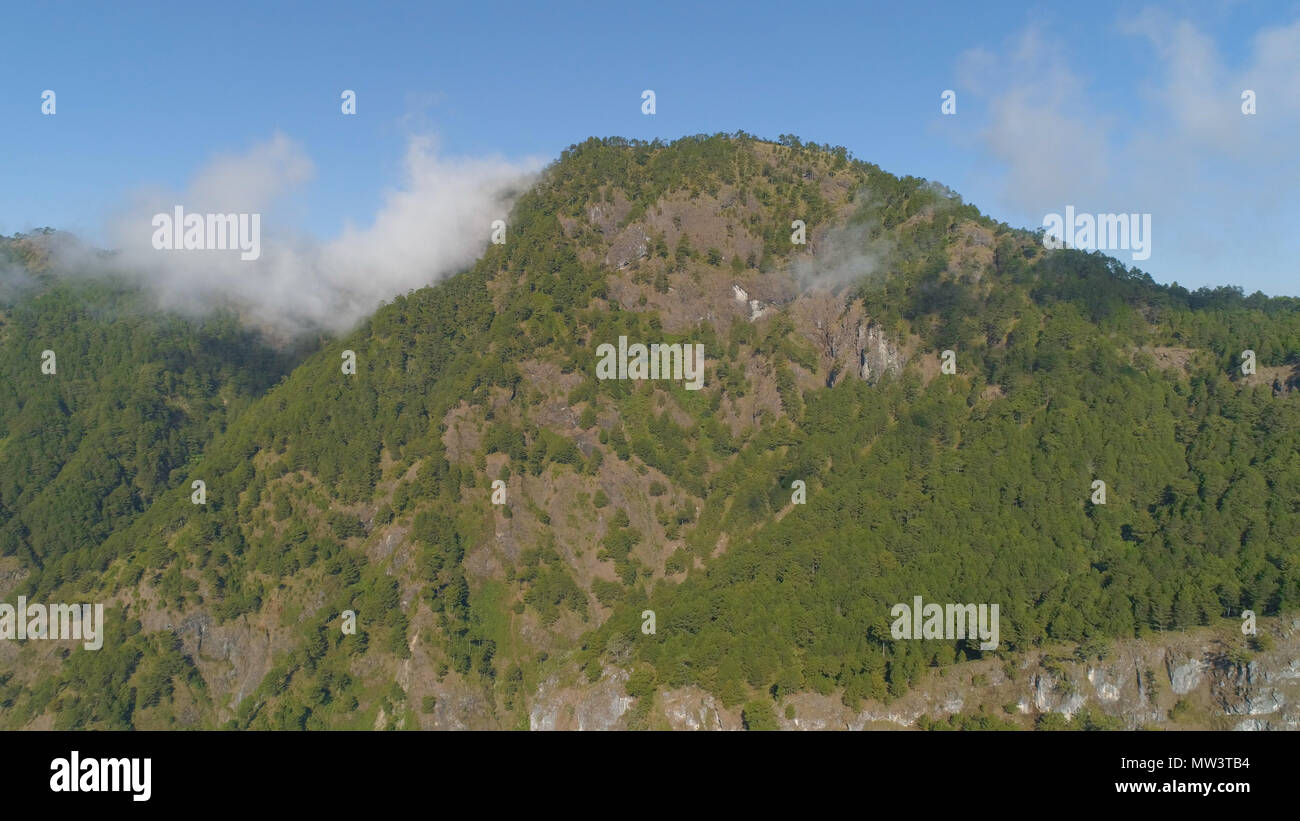 Aerial view of mountains covered forest, trees in clouds. Cordillera ...