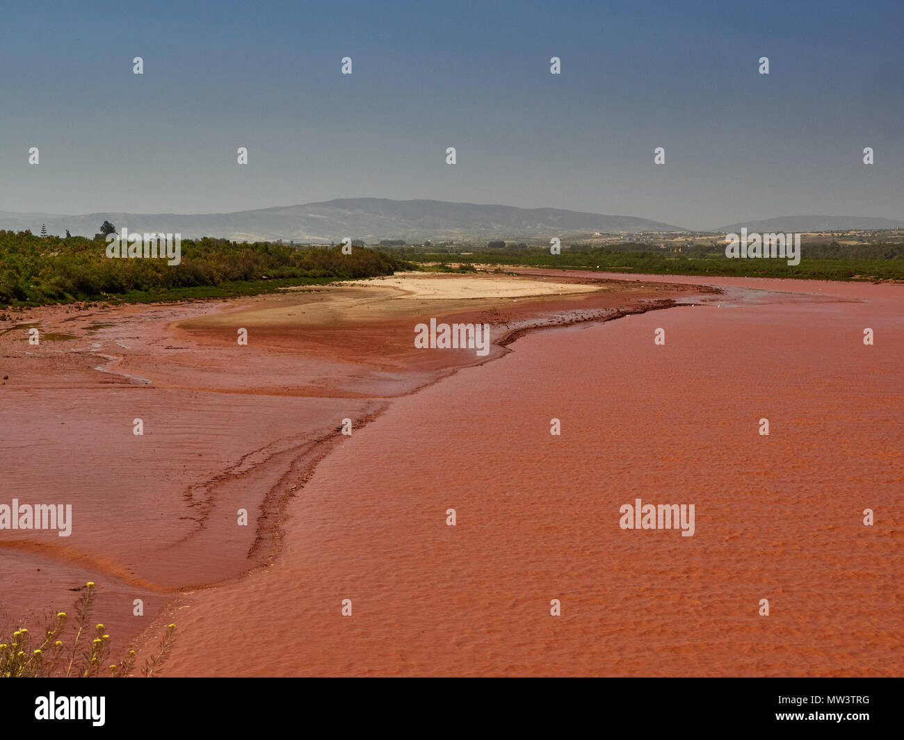 Wide river bed with red clay water, on the shore vegetation, Middle ...