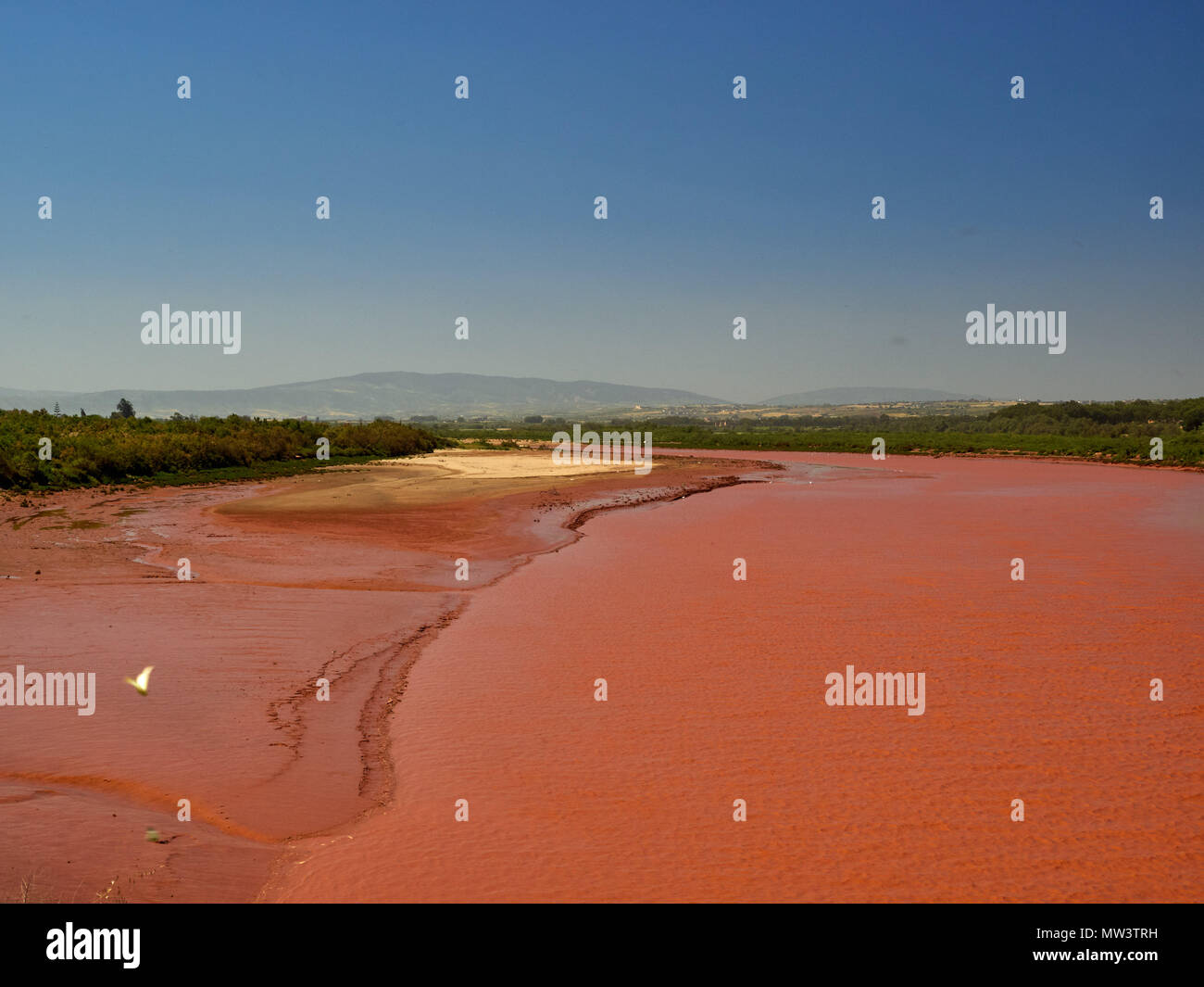 River with water of red color, clay banks, an island under the blue sky ...