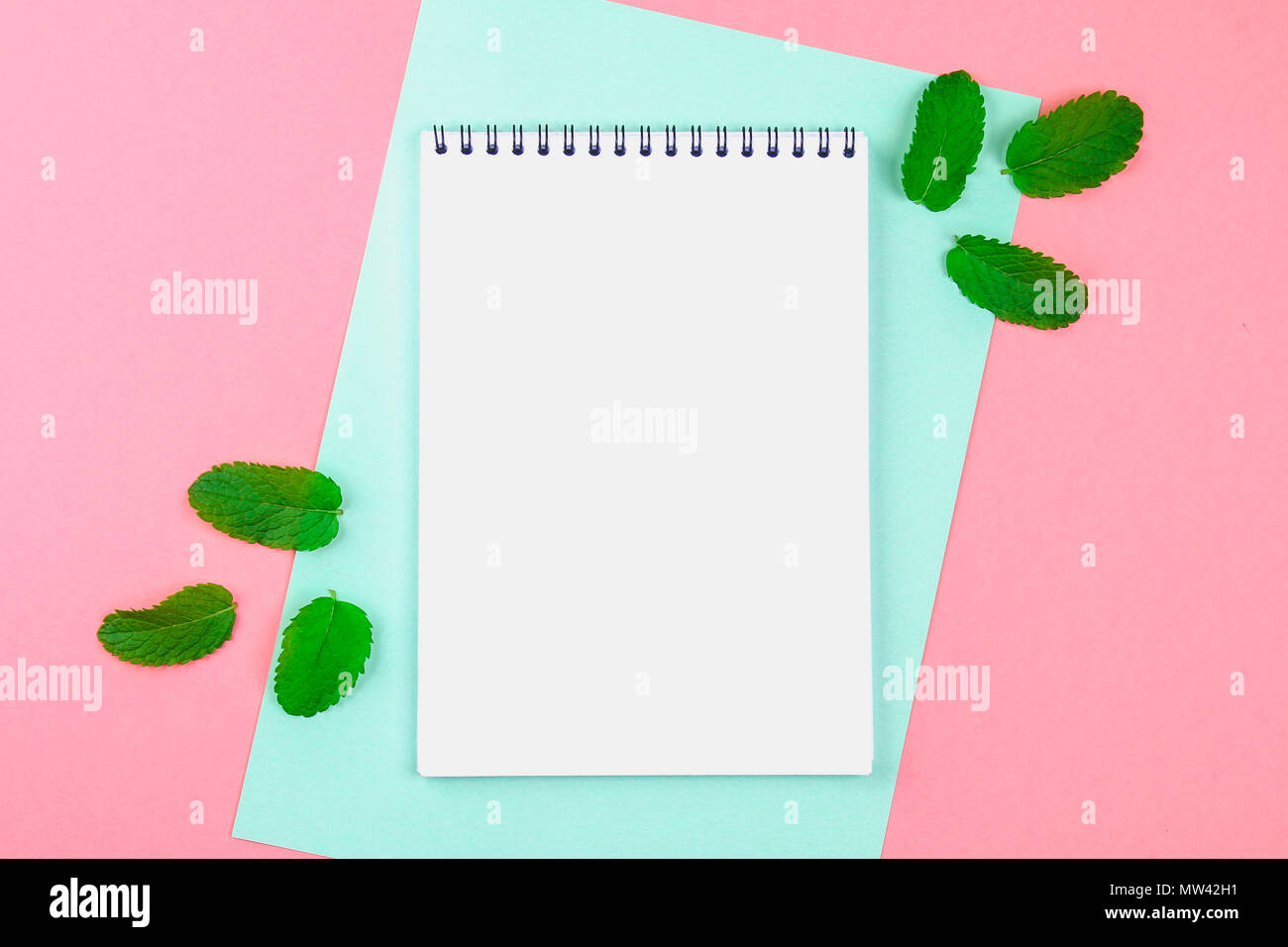 An empty notebook with a blue handle and mint leaves on a blue and pink ...