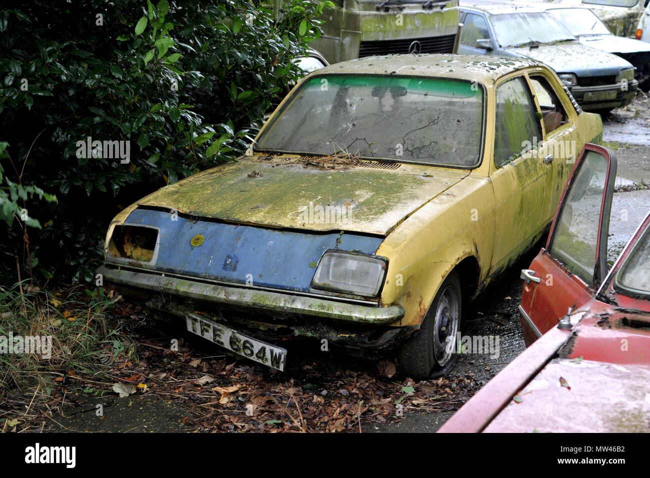 Abandoned 1970s and 80s Vauxhall cars rotting in a yard Stock Photo - Alamy