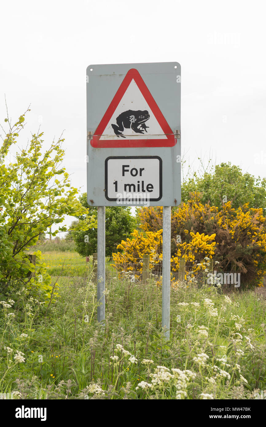 Toads crossing sign hi-res stock photography and images - Alamy