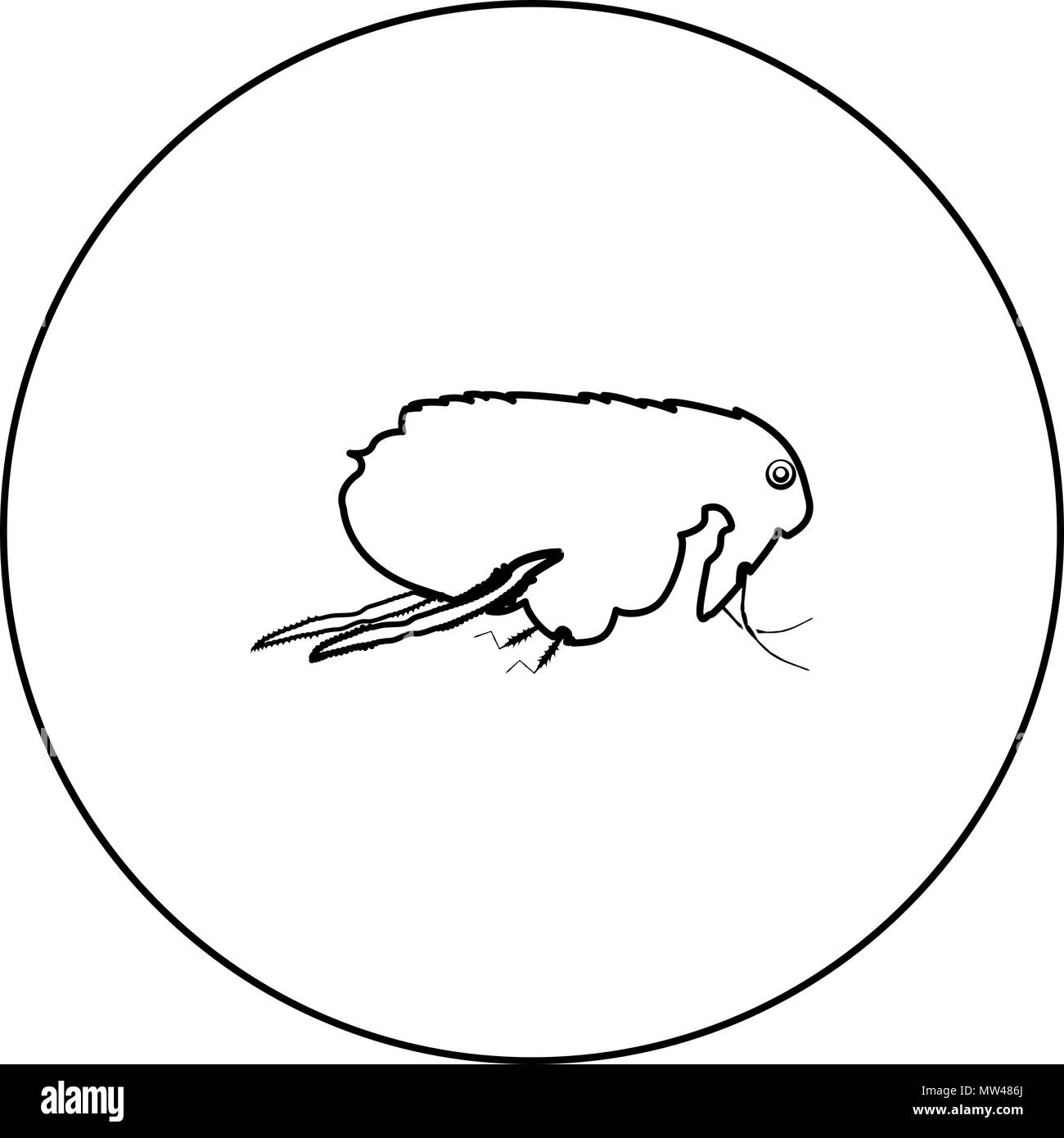 Flea jump hi-res stock photography and images - Alamy