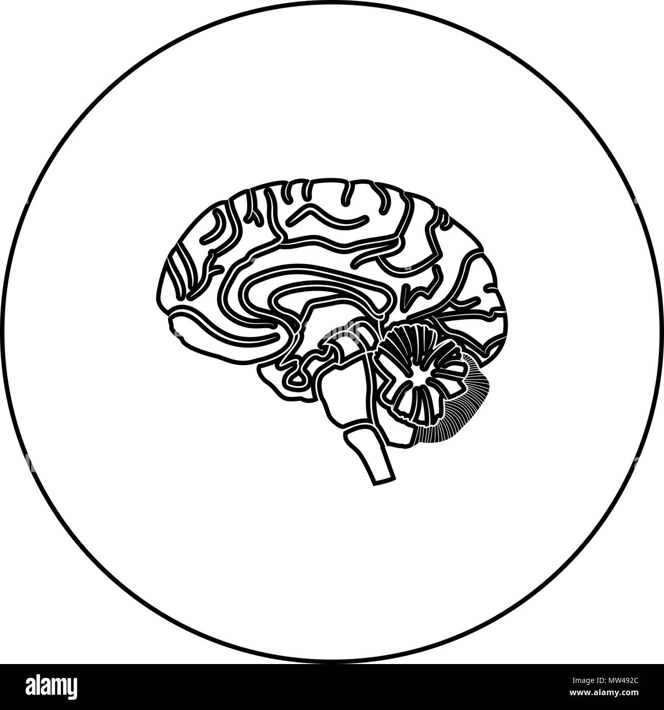 Brain black icon in circle outline vector I isolated Stock Vector Image ...