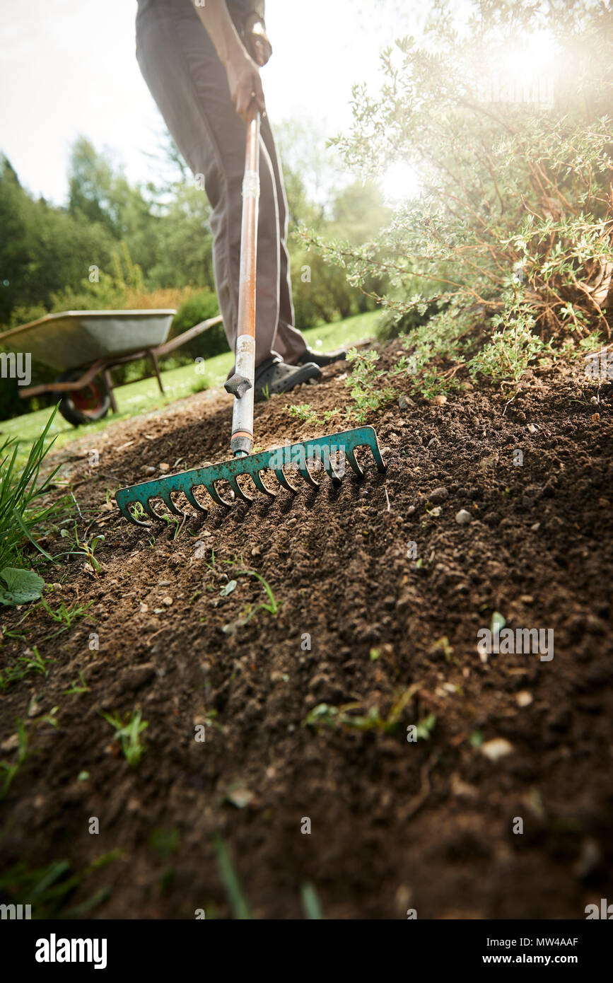 Gardening and raking in the garden in the spring Stock Photo - Alamy