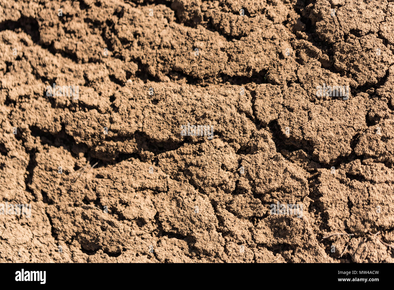Soil texture close-up Stock Photo - Alamy